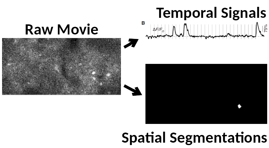 Structured Matrix Factorization | Ben Haeffele